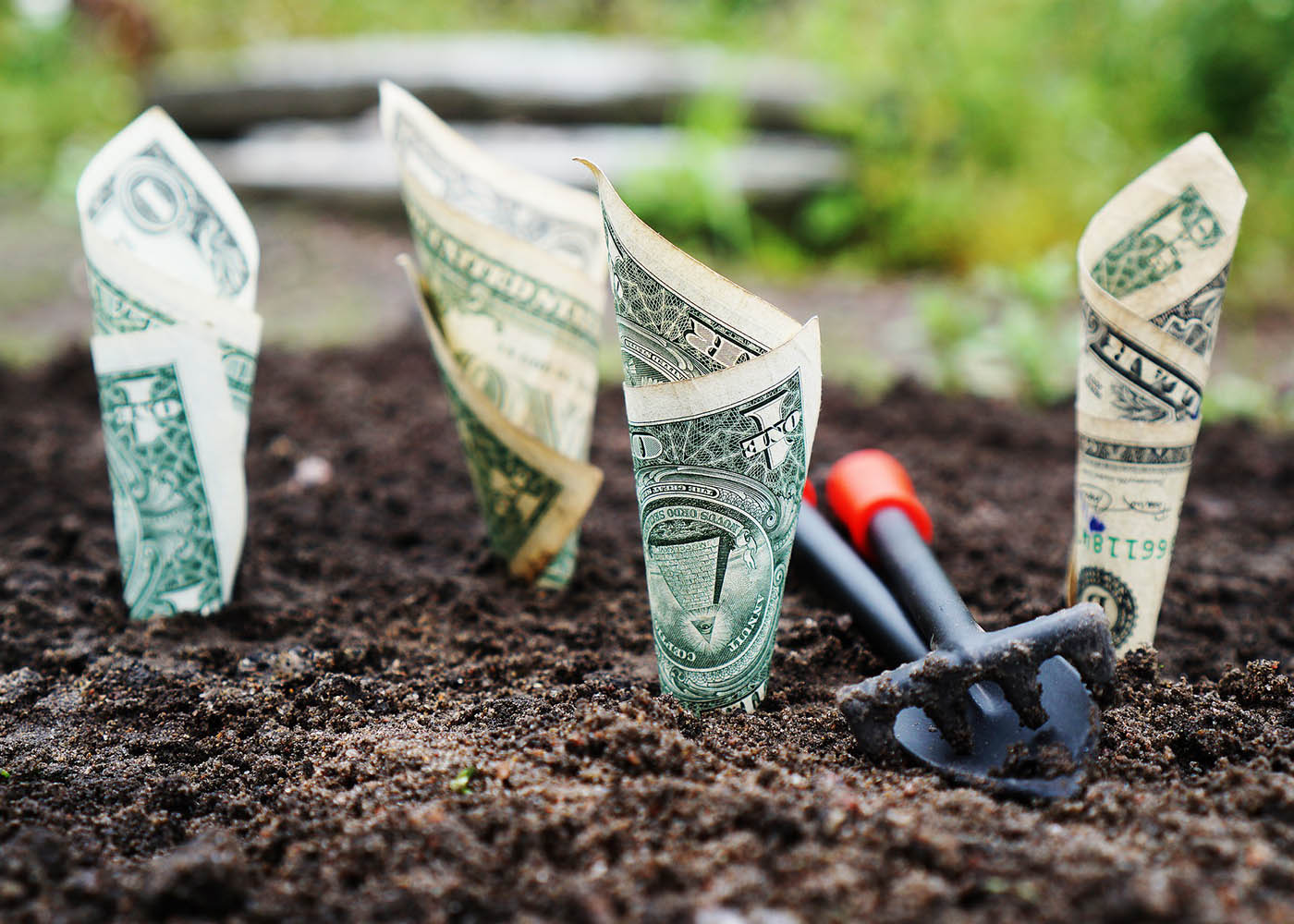 Servicios – Coreval S.R.L.